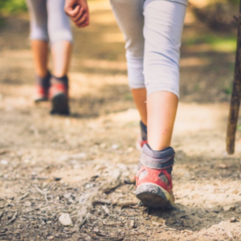 3 Ways to Practice Gratitude With Your Family - ESF Summer Camps